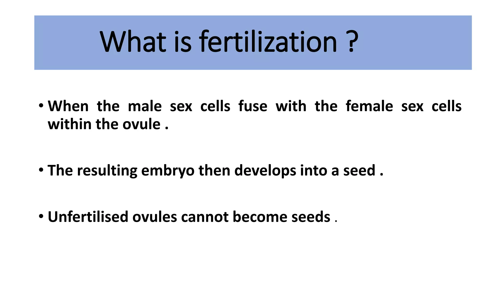 Fertilization | PPT