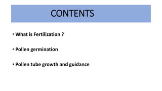 Fertilization | PPT