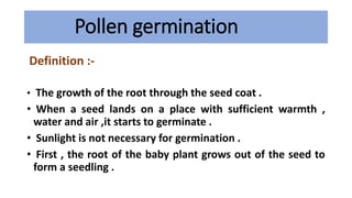 Fertilization | PPT
