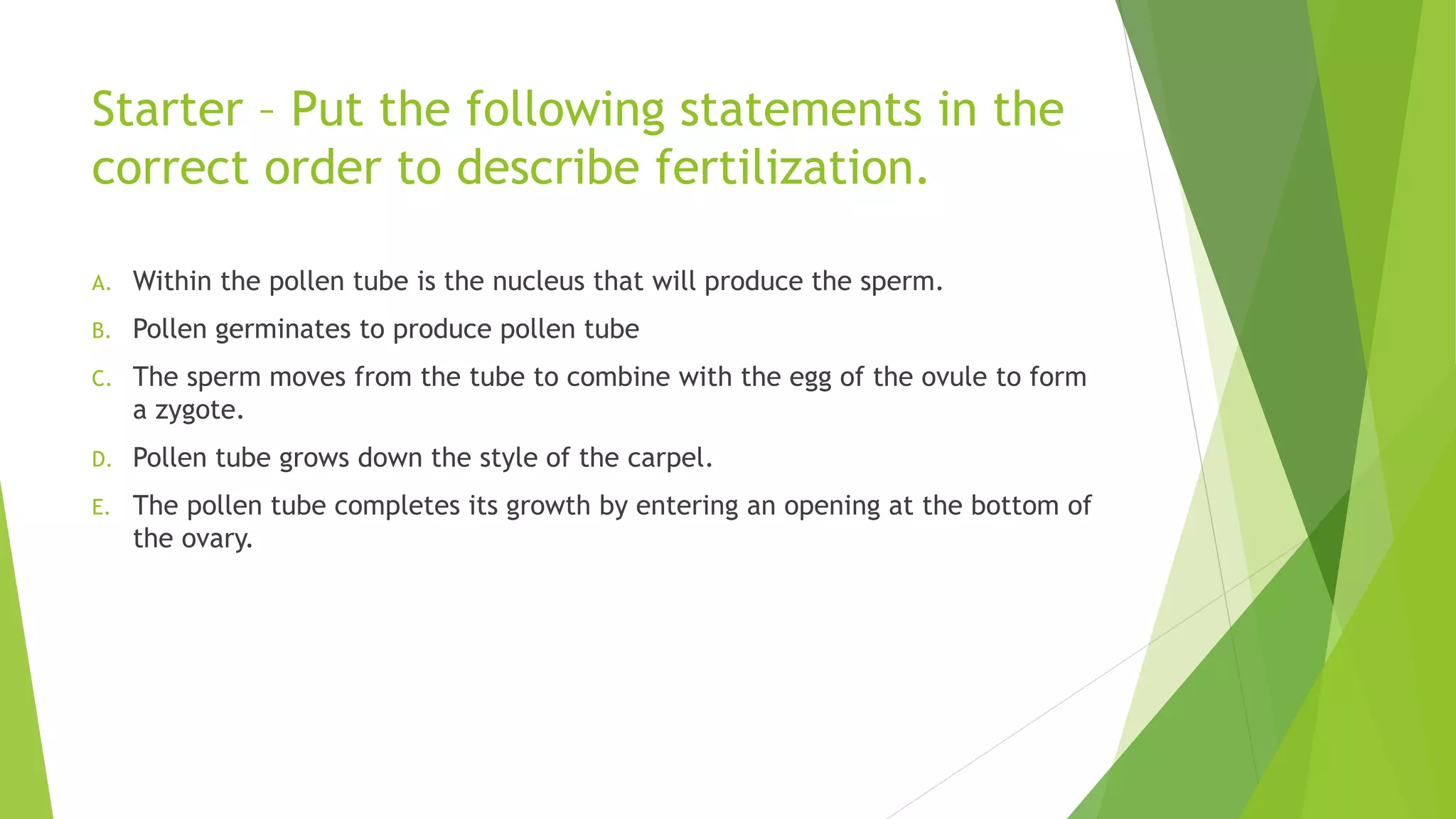 Plant Fertilization | PPTX