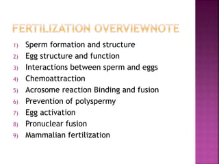 Fertilization | PPTX
