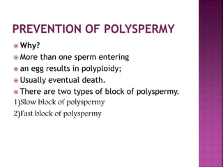 Fertilization | PPT