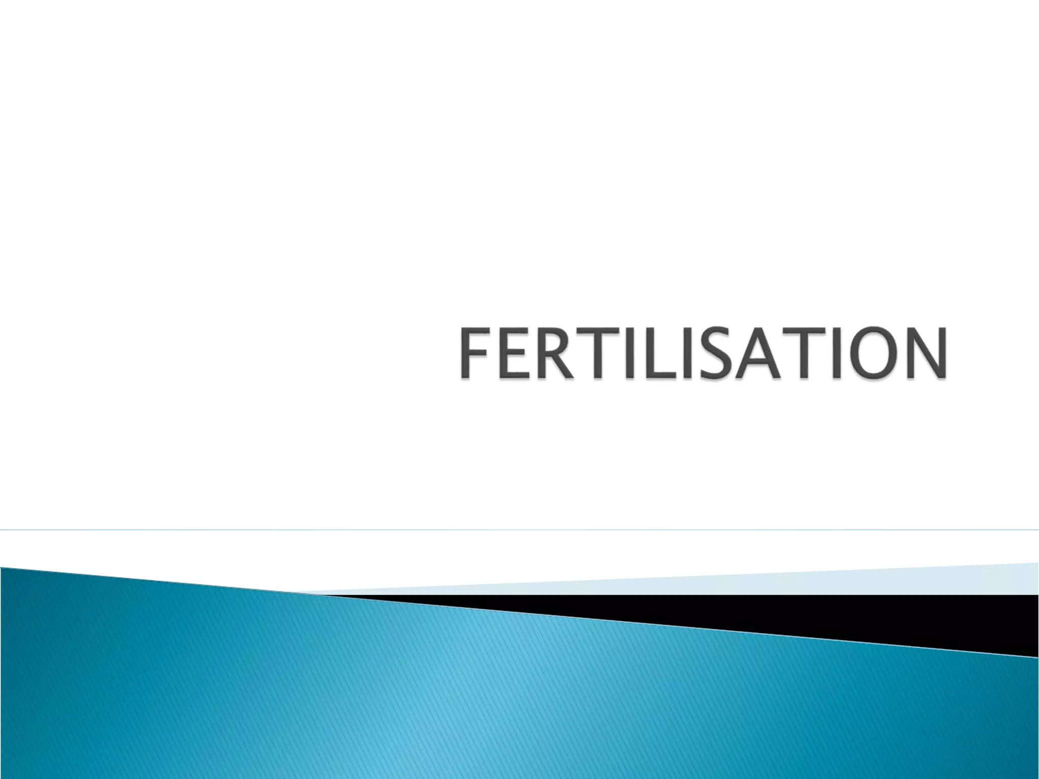 Fertilization | PPT