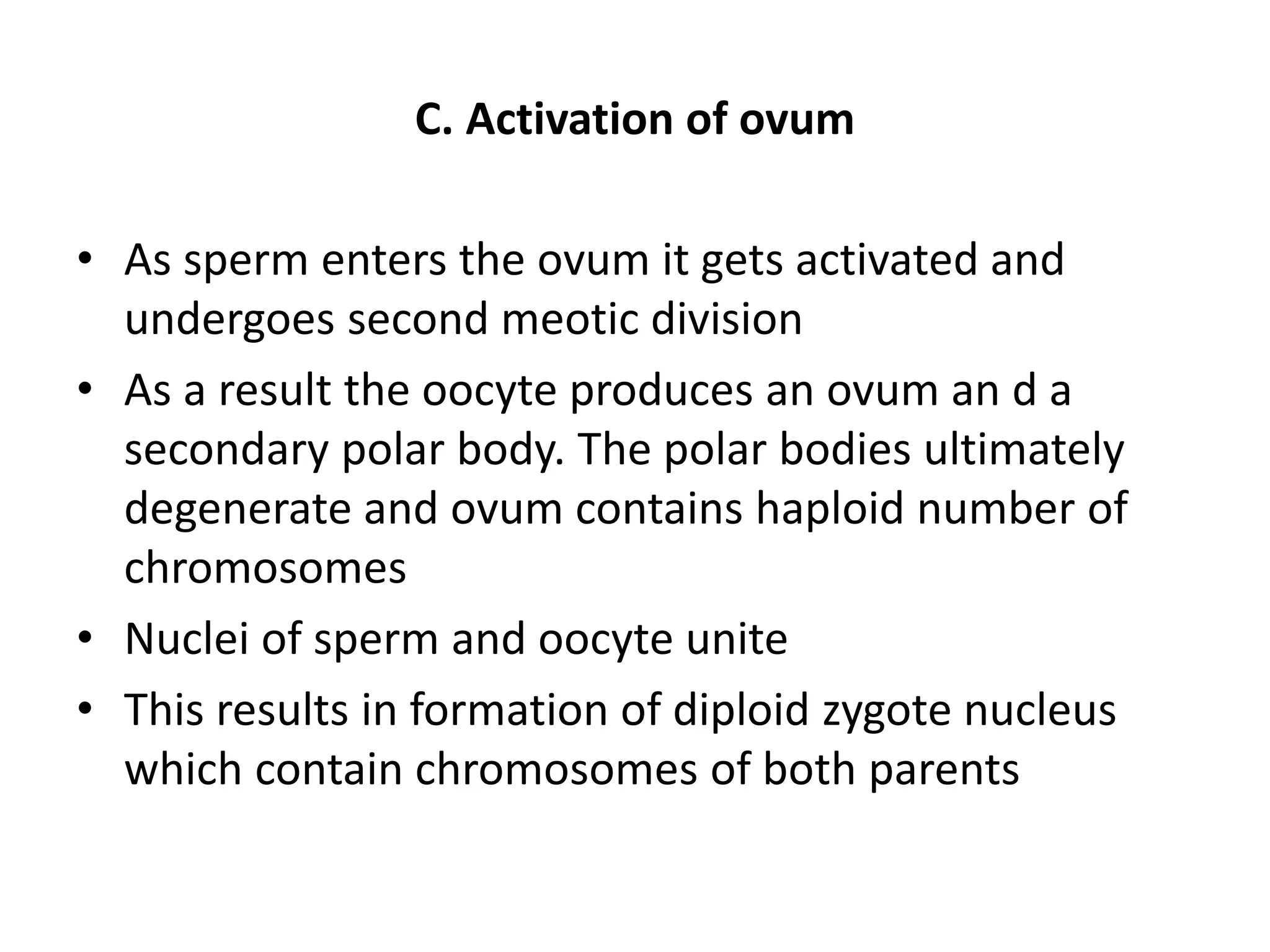 Fertilization | PPTX