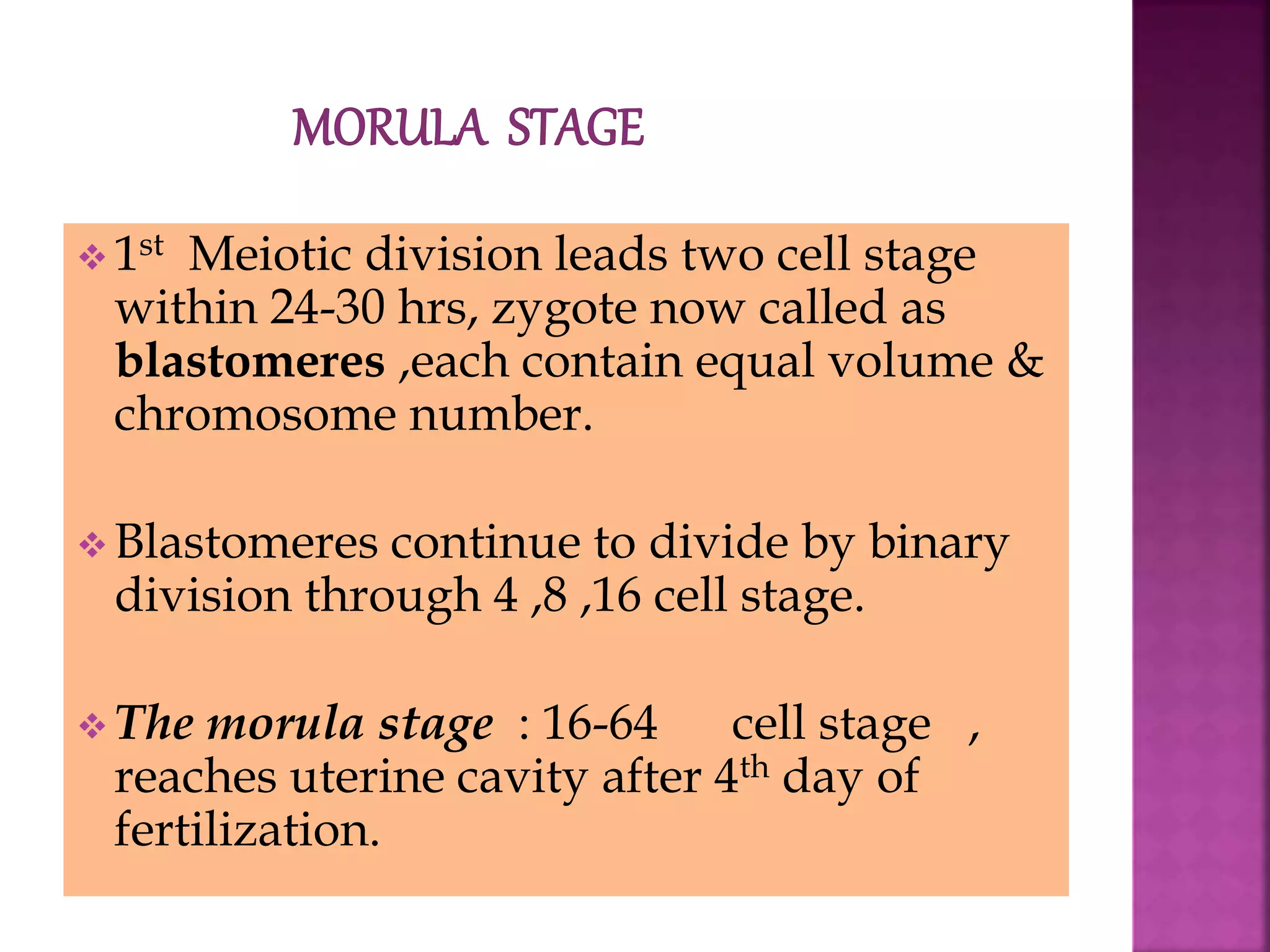 Fertilization | PPTX