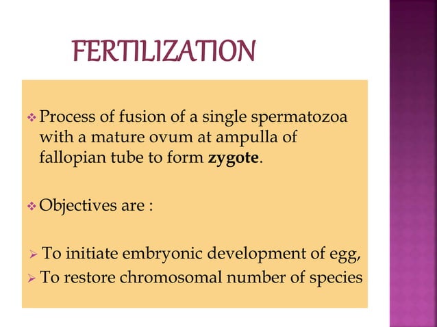 Fertilization | PPT