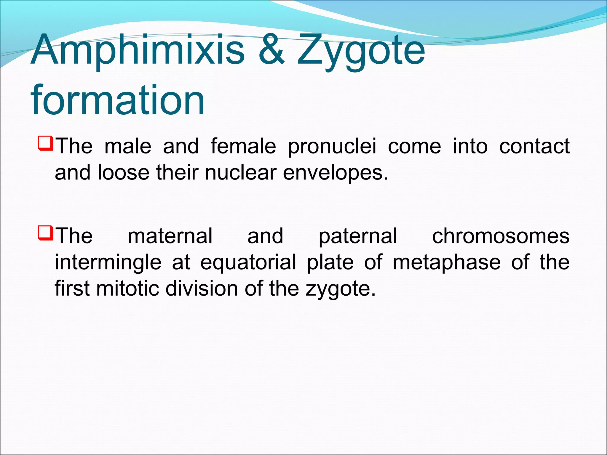 Fertilization | PPT