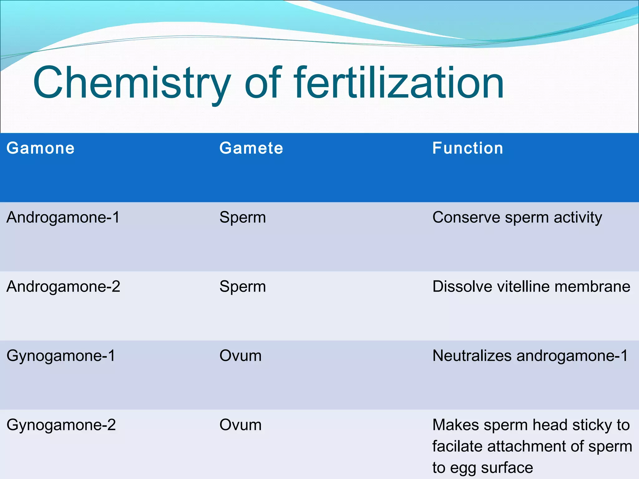 Fertilization | PPT