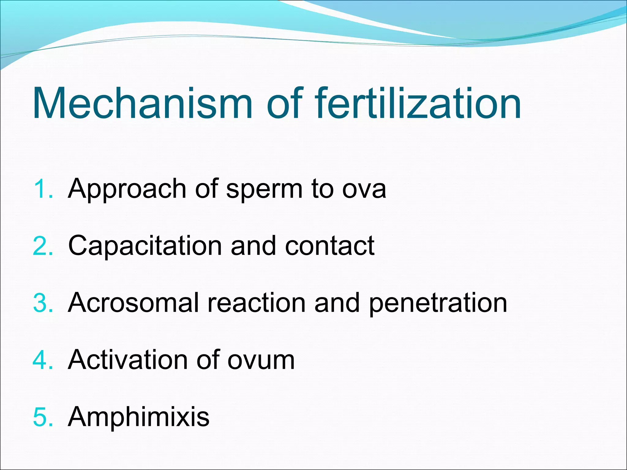 Fertilization | PPT