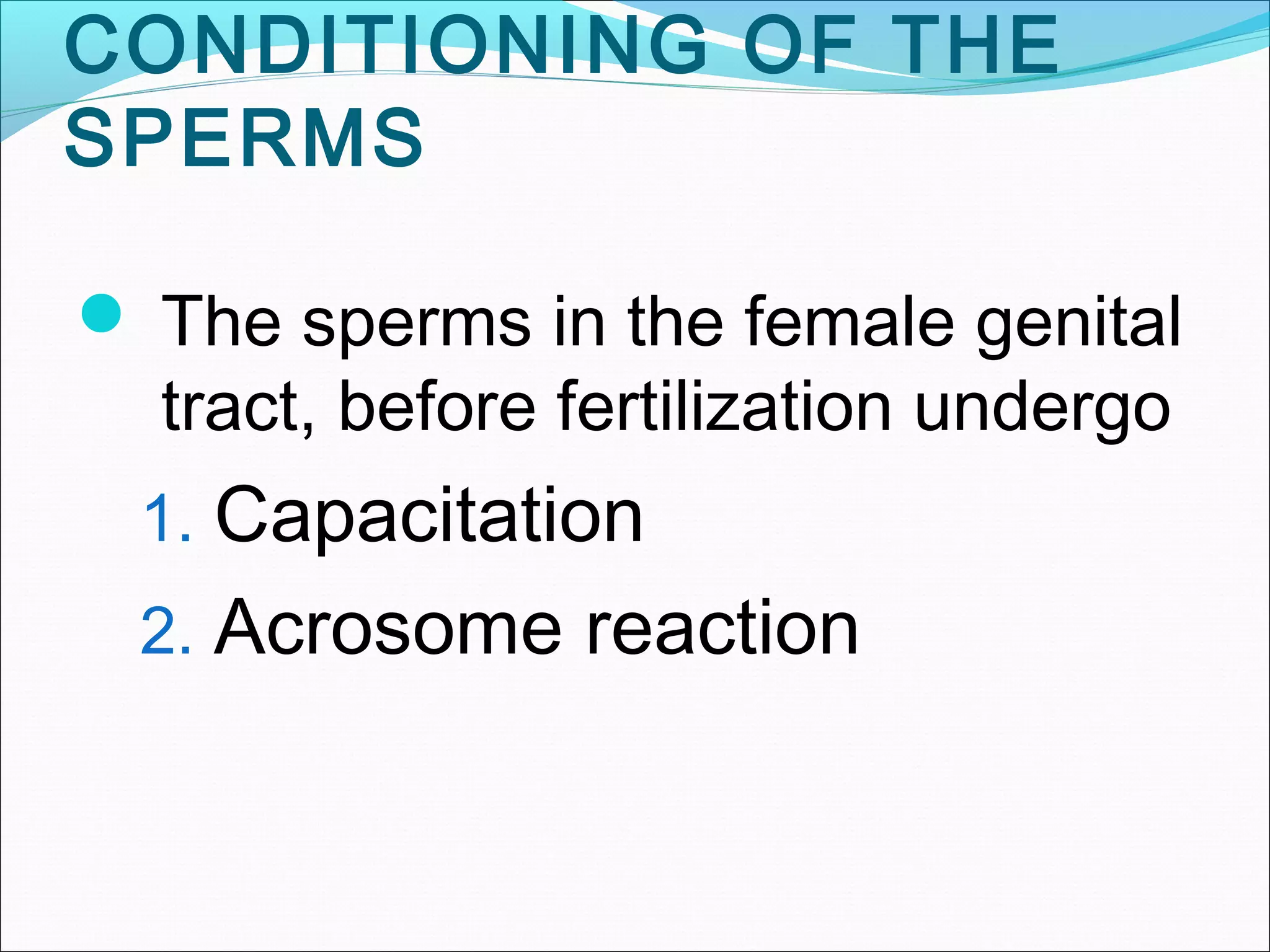 Fertilization | PPT
