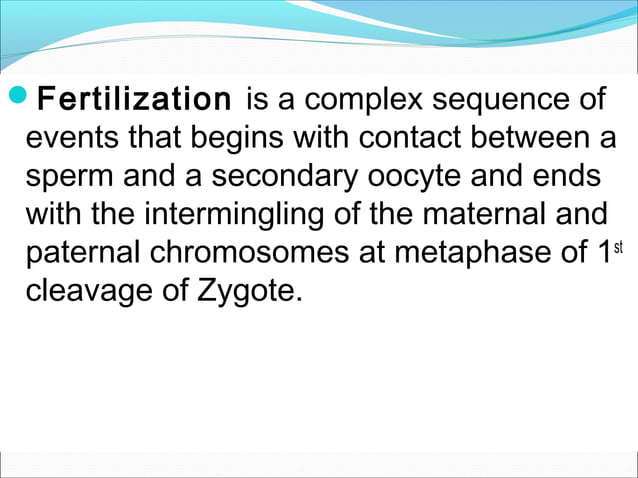 Fertilization | PPT | Infertility | Reproductive Health