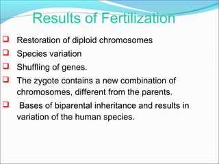Fertilization | PPT
