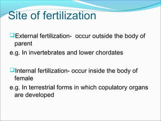 Fertilization | PPT