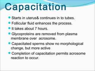 Fertilization | PPT