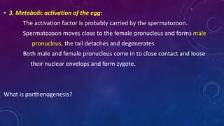Fertilization | PPTX