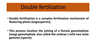 Fertilization | PPT