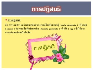 Fertilization | PPT