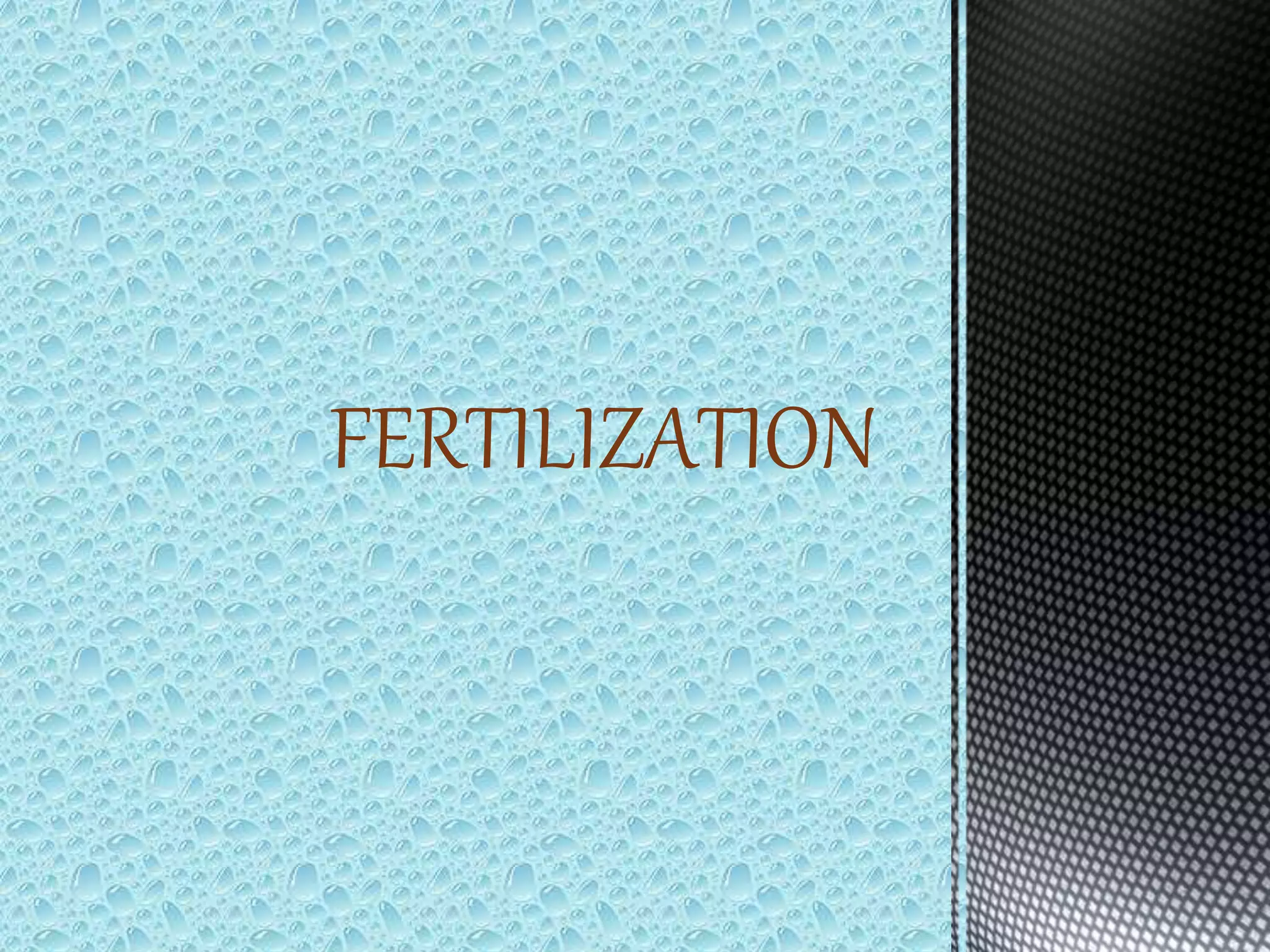 Fertilization | PPTX | Infertility | Reproductive Health