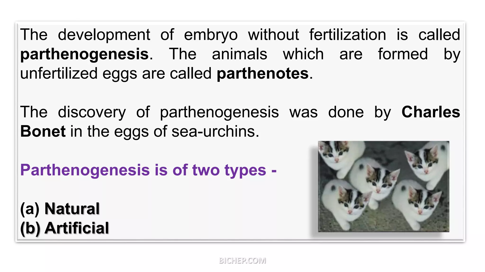 Human Reproduction- Fertilization and Parthenogenesis- Class 12 | PPSX ...