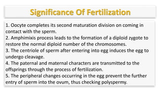 Human Reproduction- Fertilization and Parthenogenesis- Class 12 | PPSX