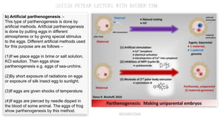 Human Reproduction- Fertilization and Parthenogenesis- Class 12 | PPSX ...
