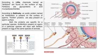 Human Reproduction- Fertilization and Parthenogenesis- Class 12 | PPSX