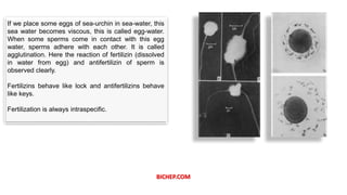 Human Reproduction- Fertilization and Parthenogenesis- Class 12 | PPSX