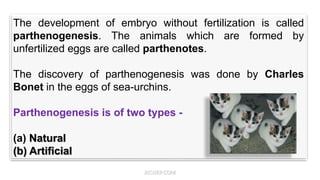 Human Reproduction- Fertilization and Parthenogenesis- Class 12 | PPT