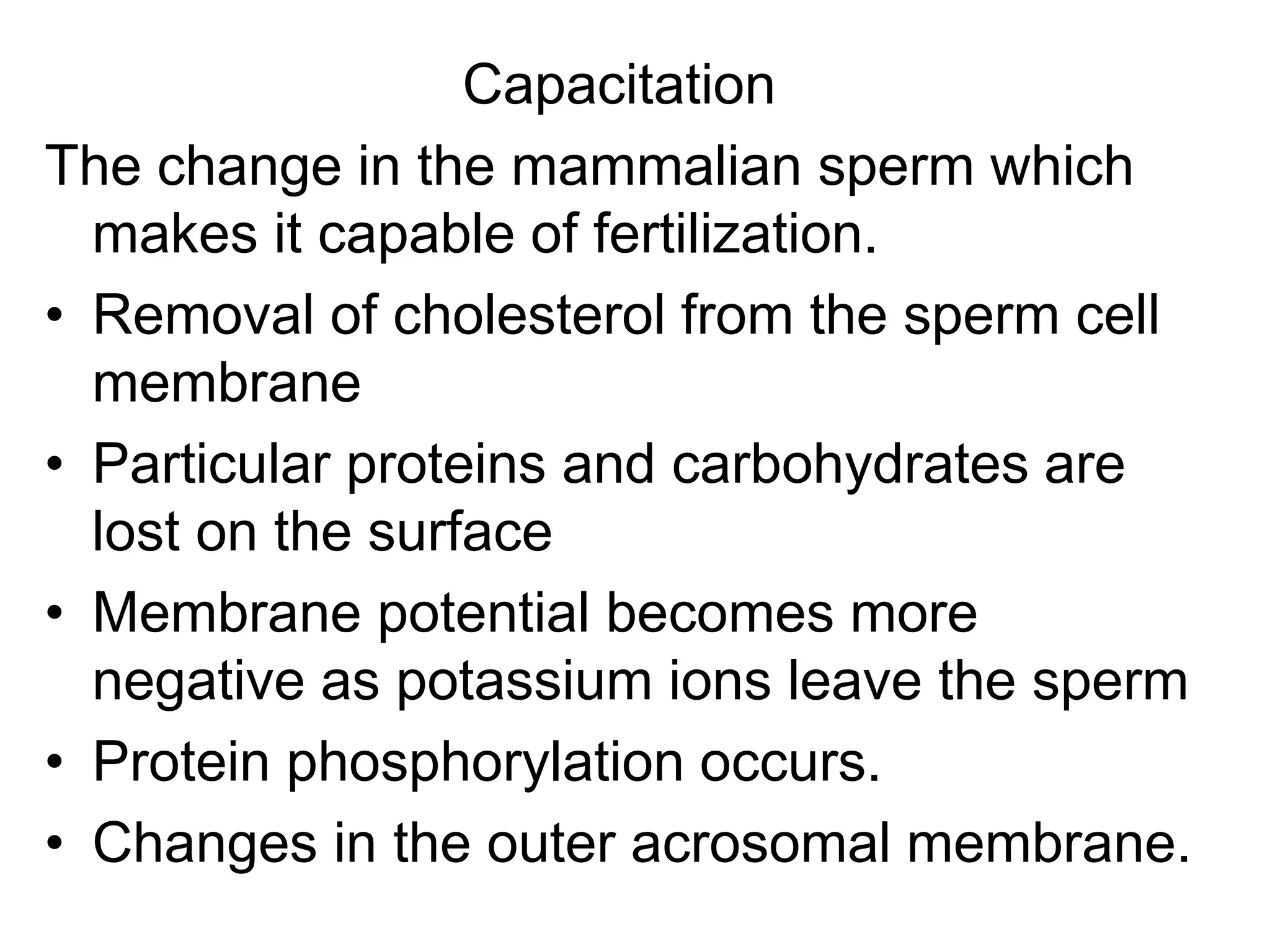 Fertilization | PPT | Infertility | Reproductive Health