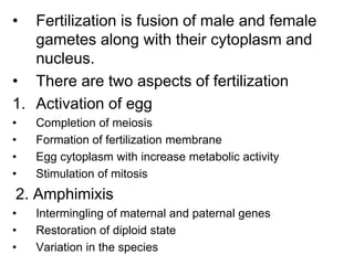 Fertilization | PPT | Infertility | Reproductive Health