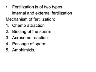 Fertilization | PPT | Infertility | Reproductive Health