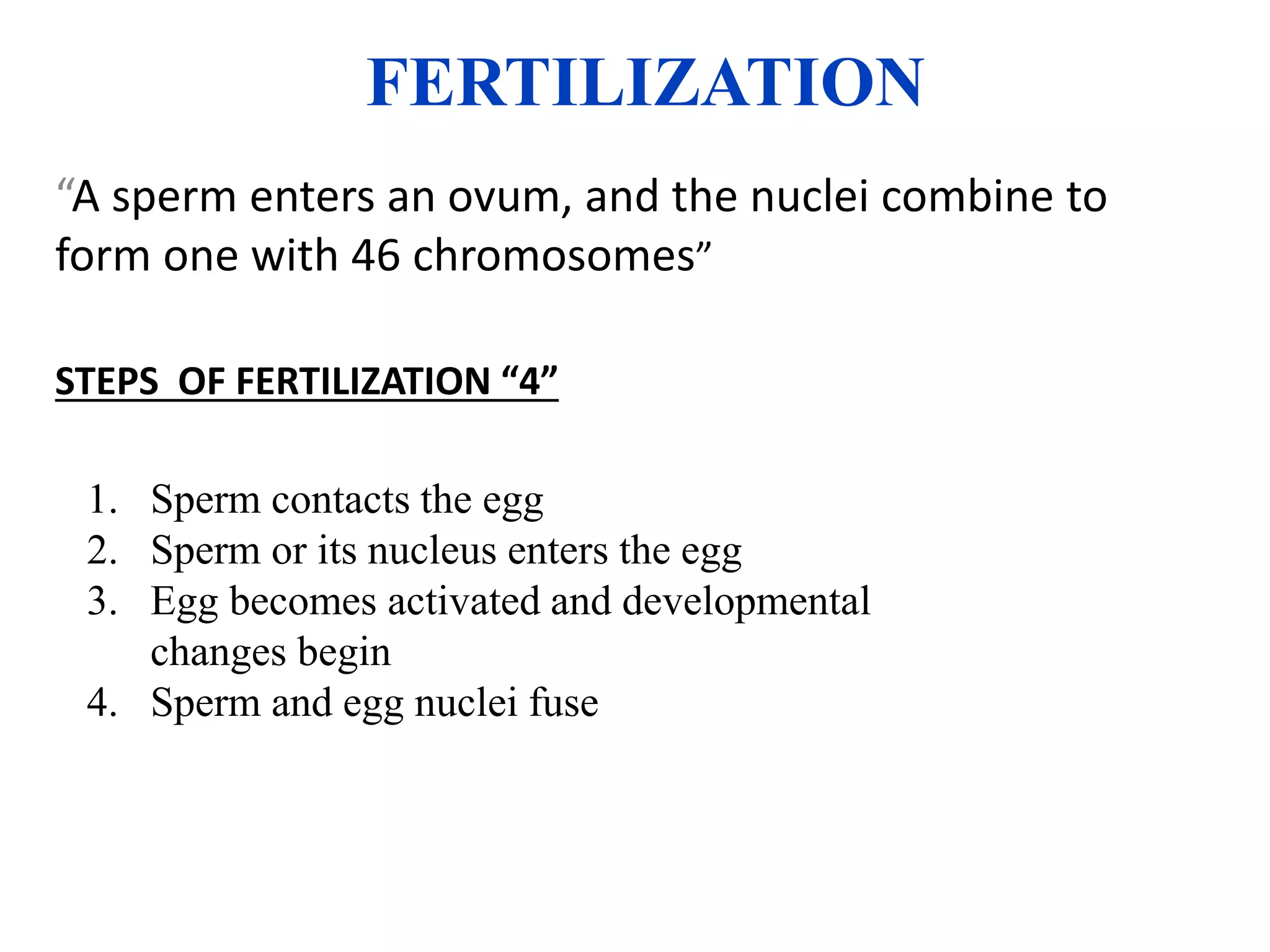 Fertilization | PPT