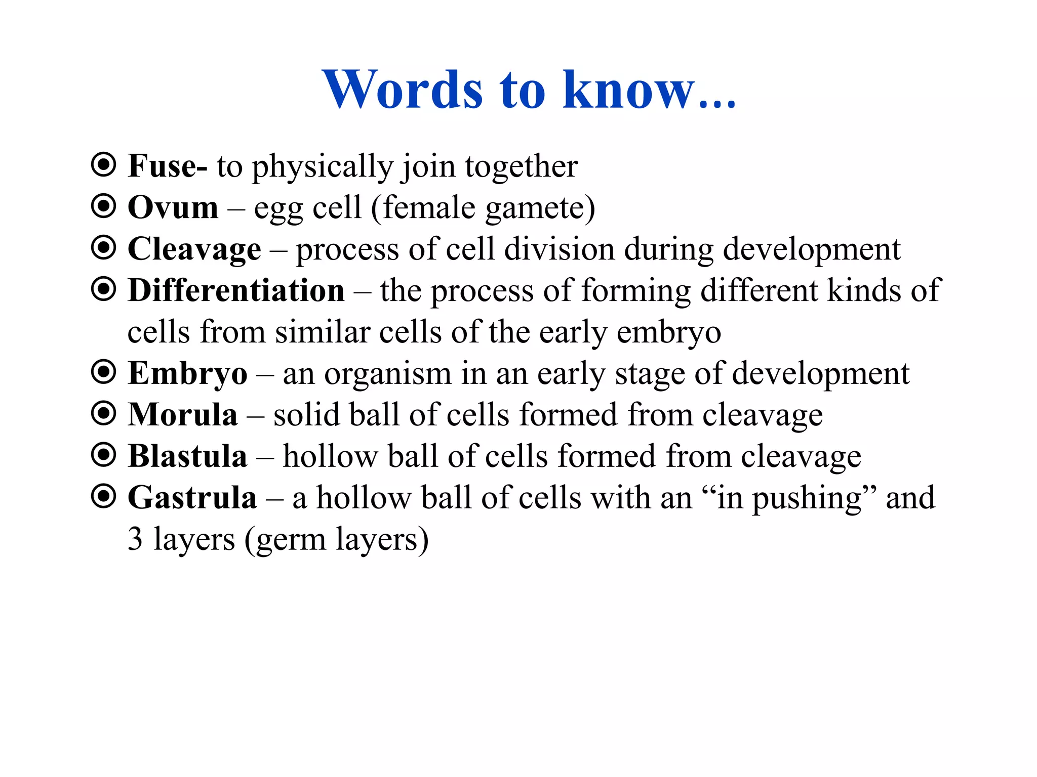 Fertilization | PPT