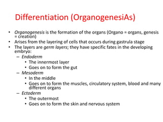 Fertilization | PPT