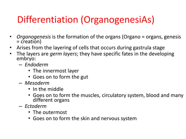 Fertilization | PPT