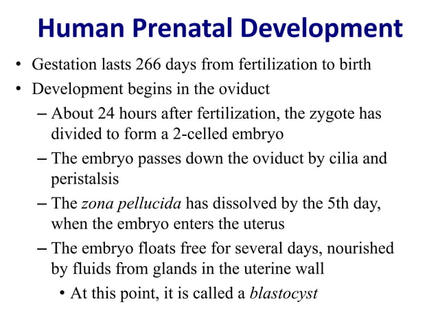 Fertilization | PPT