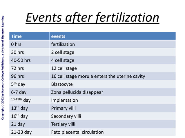 Fertilization | PPT
