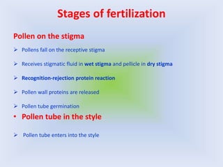 Fertilization in Angiosperms | PPTX