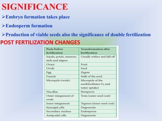Fertilization in Angiosperms | PPTX