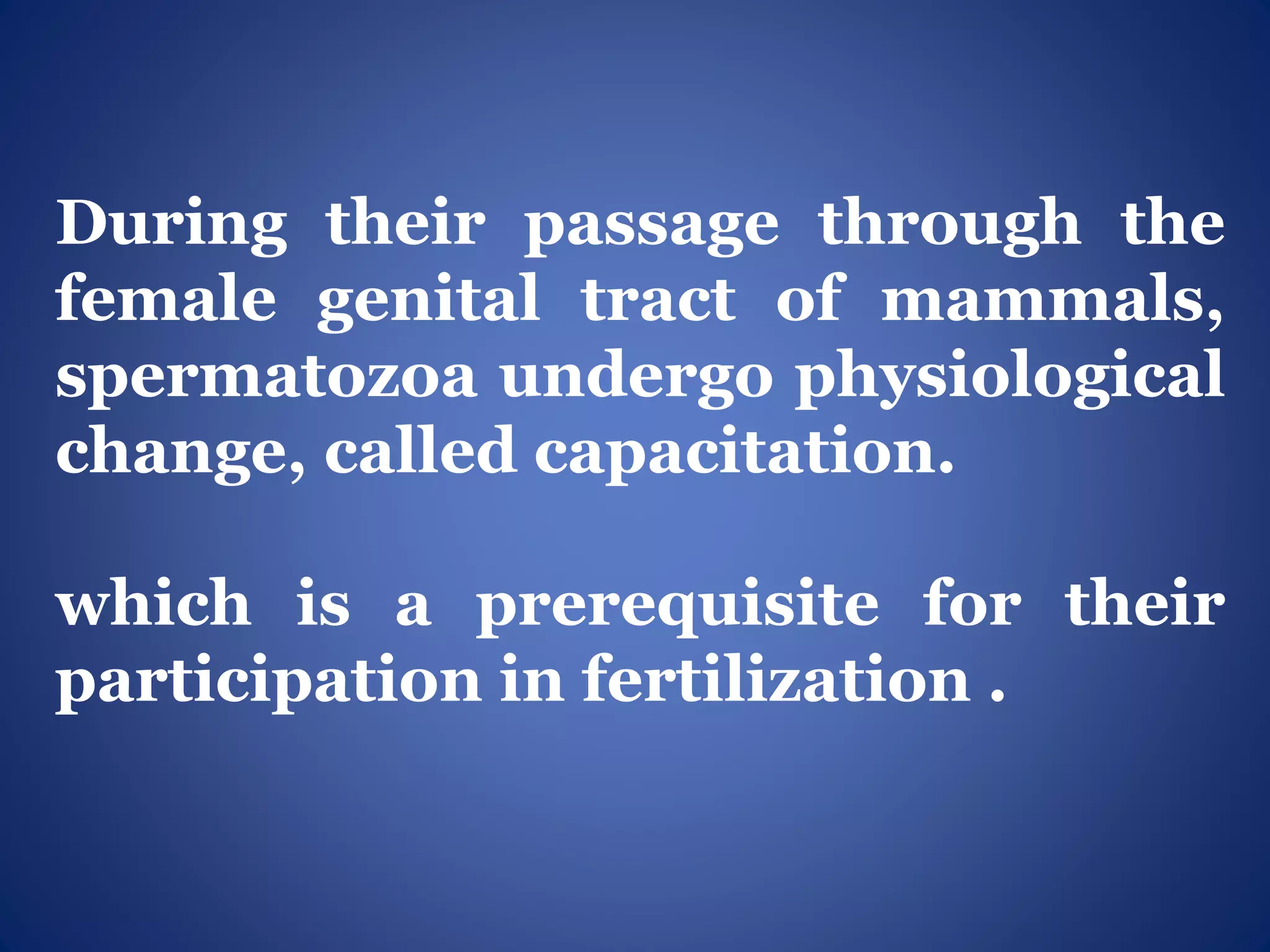 Fertilization | PPTX