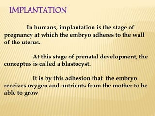 Fertilization | PPTX