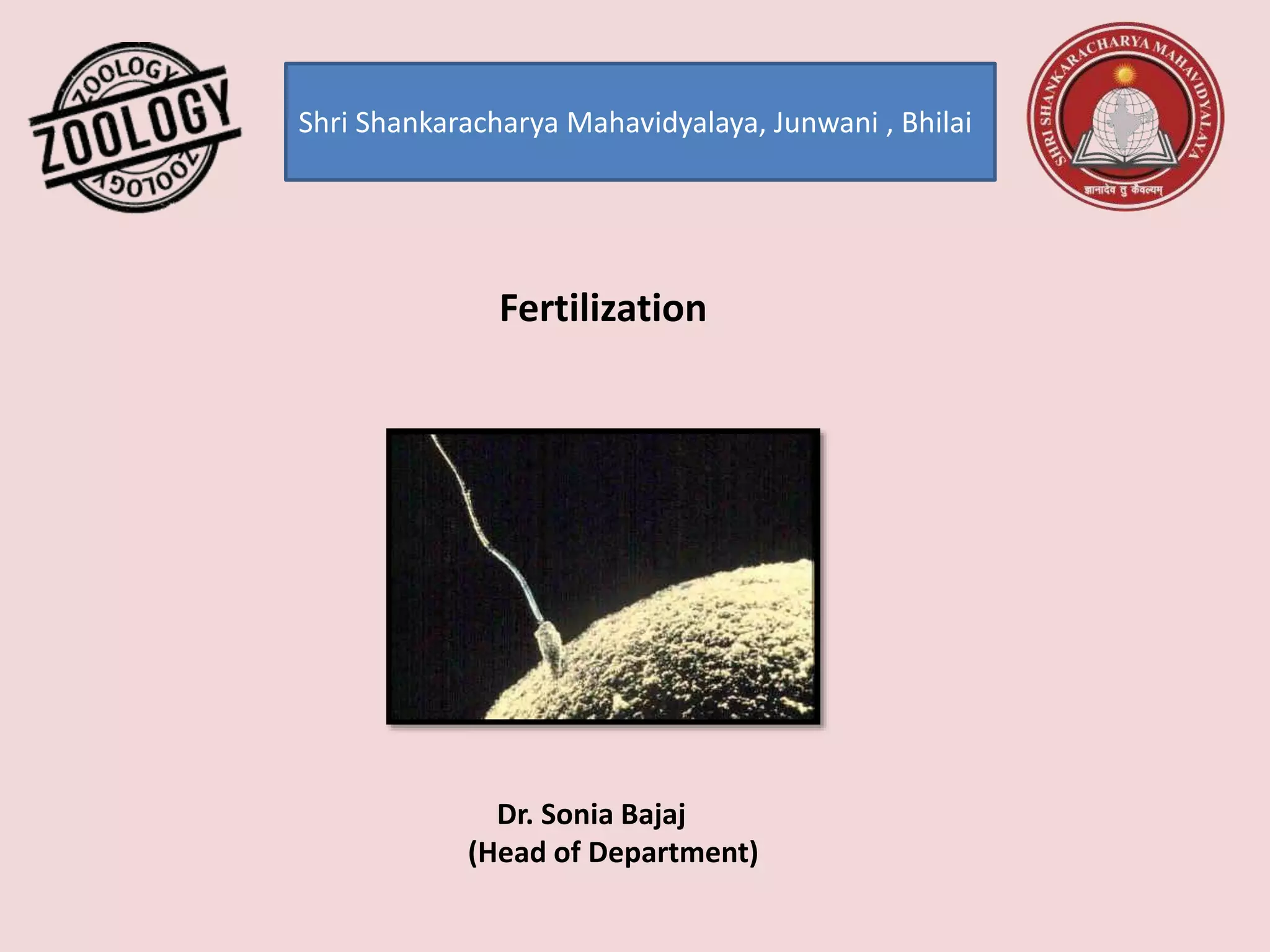 Fertilization, Types of fertilization, step of fertilization process ...