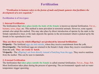 Fertilization, Types of fertilization, step of fertilization process ...
