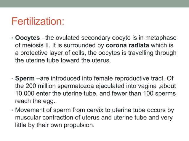 Fertilization.pdf