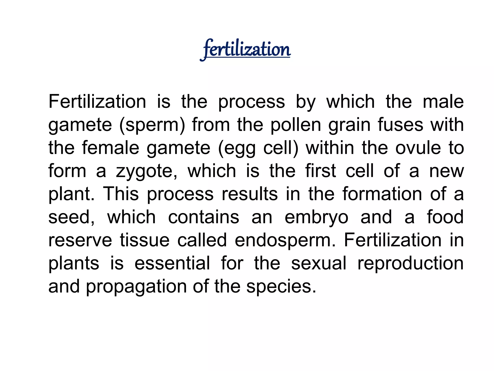 Fertilization.pptx | Infertility | Reproductive Health