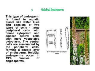 Fertilization.pptx | Infertility | Reproductive Health