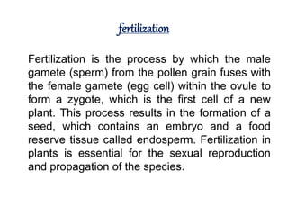 Fertilization.pptx | Infertility | Reproductive Health