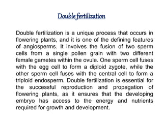 Fertilization.pptx
