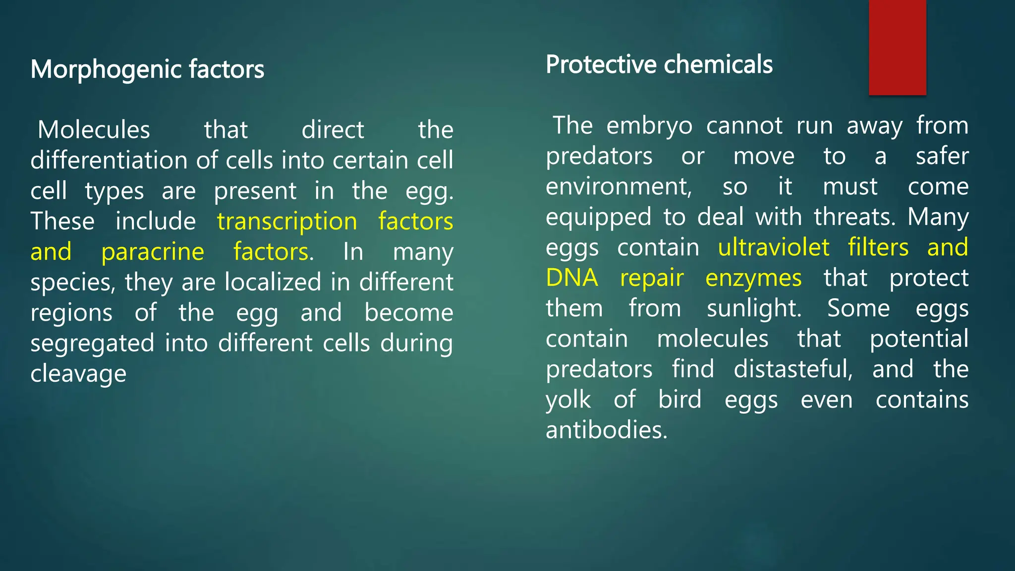 Fertilization: Sperm and the egg—collectively called the gametes—fuse ...