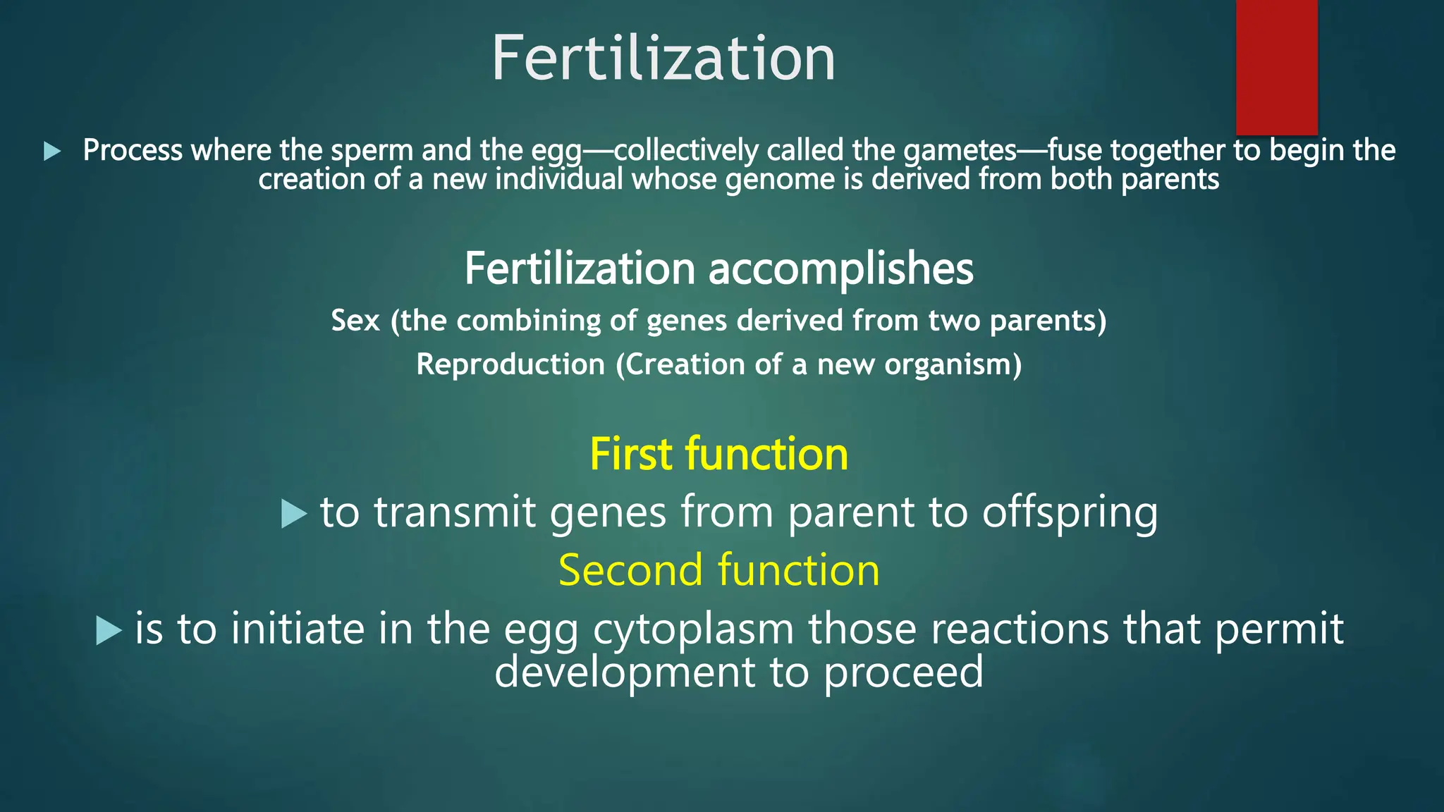 Fertilization: Sperm and the egg—collectively called the gametes—fuse ...